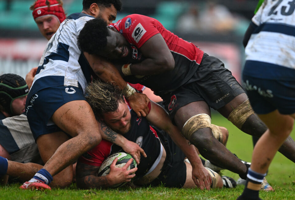 News & Fixtures :Cornish Pirates